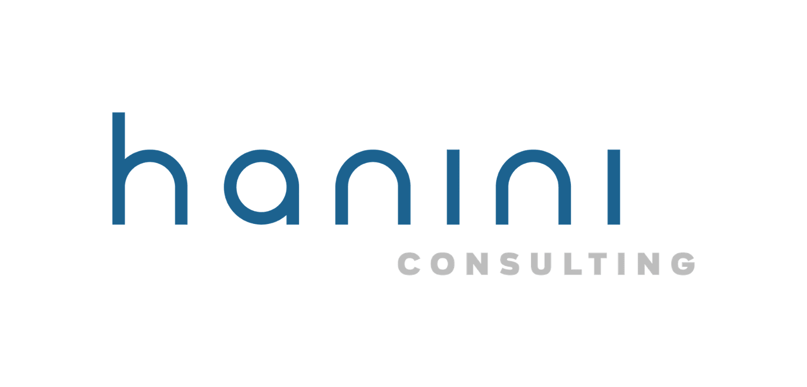 Home [haniniconsulting.com]